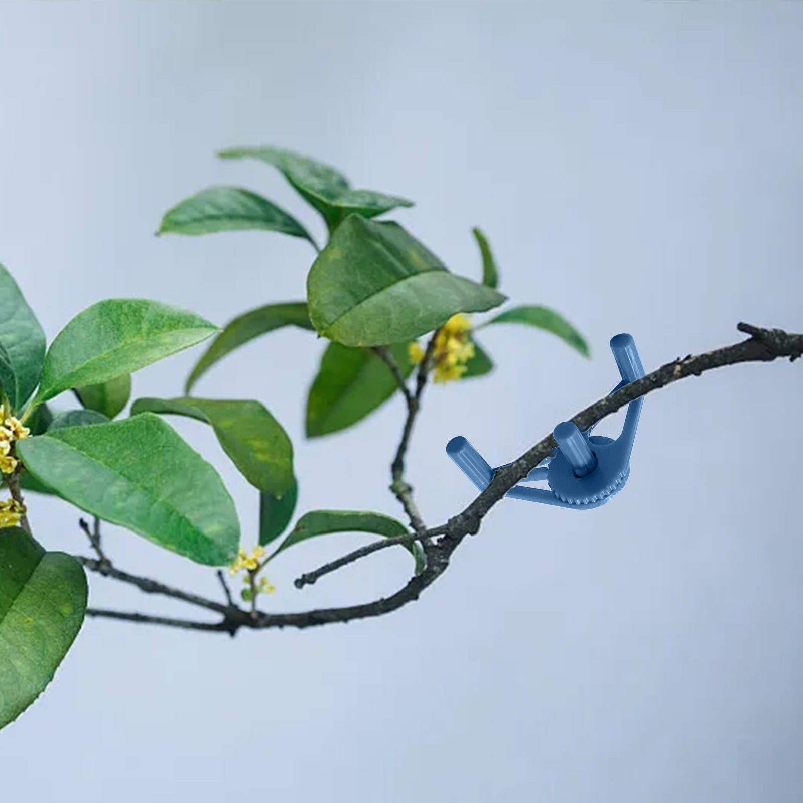 KCGYNP Adjustable Plant Bending Clips Low Stress Training 3.1x1x0.9in ...