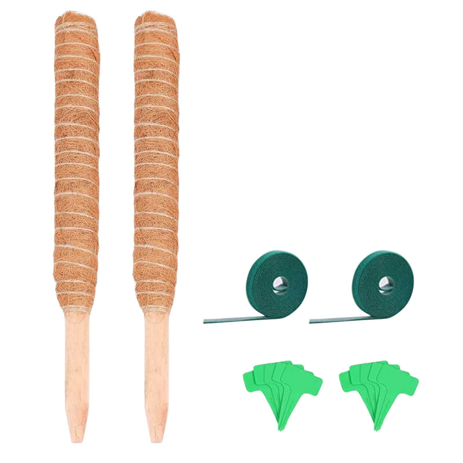 KCRQLQW For Potted Plants Rod Rod Plant Pile Moss Plants For Climbing ...