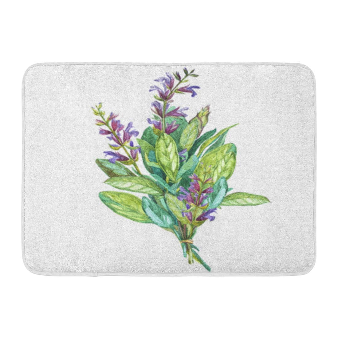 KDAGR Botanical Drawing of Sage Watercolor Beautiful Culinary Herbs ...