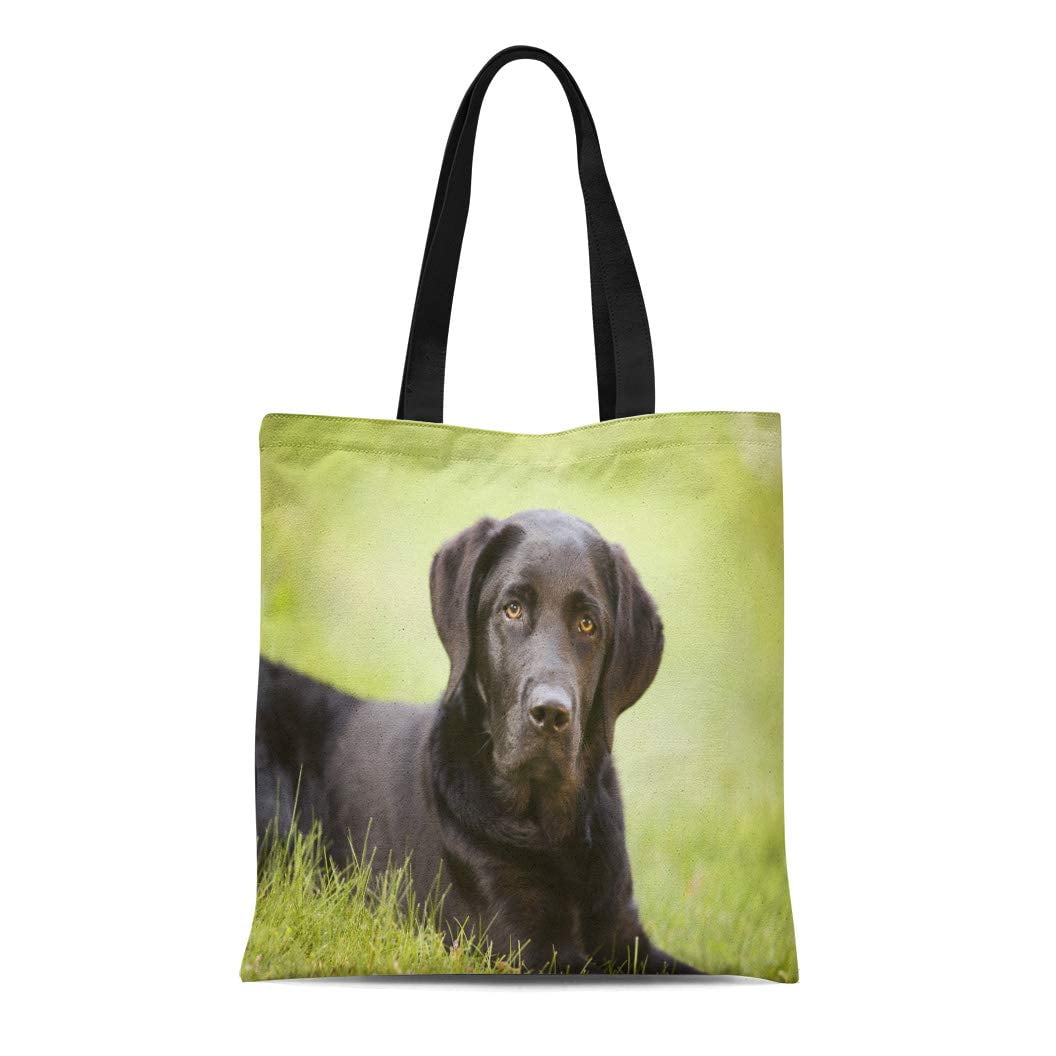 KDAGR Canvas Tote Bag Portrait of Beautiful Black Lab Puppy Lying in ...