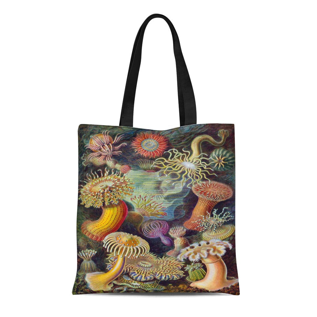 KDAGR Canvas Tote Bag Scientific Ernst Haeckel Actiniaea Anemone ...