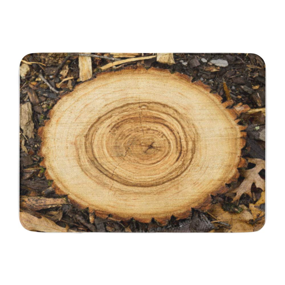 KDAGR Smooth Cross Section of Brown Tree Stump Cracks and Age Rings ...