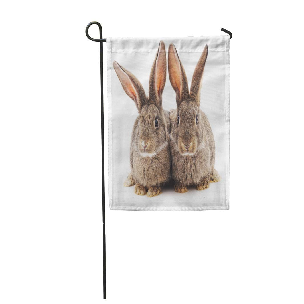 KDAGR Yellow White Two Brown Rabbits Baby Beauty Bunny Garden Flag ...