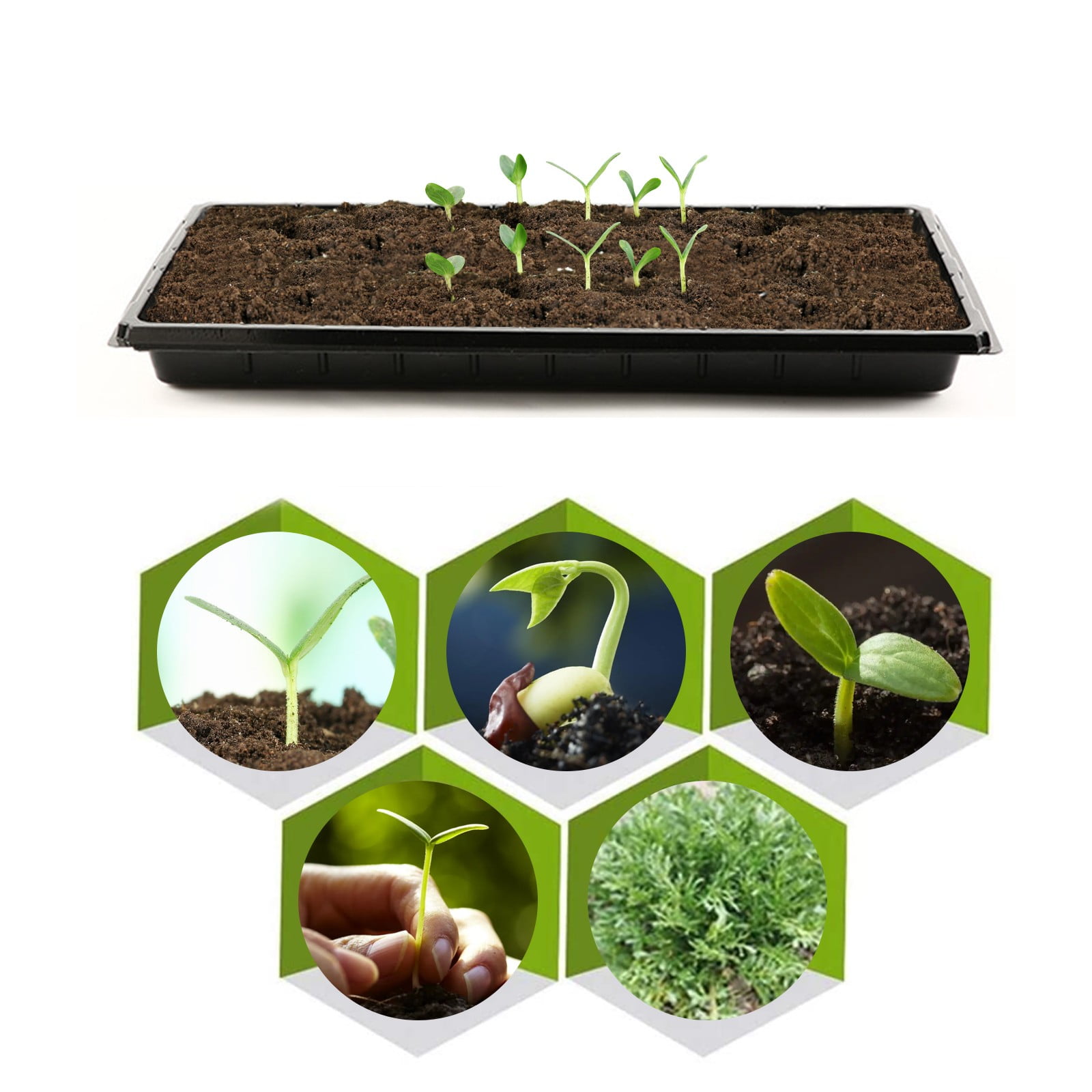 KDFWDM Durable Black Plastic Growing Trays (Without Drain Holes ...