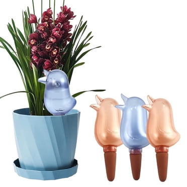 Modern Innovations Terracotta Self Watering Spikes (6 Pack), Indoor ...