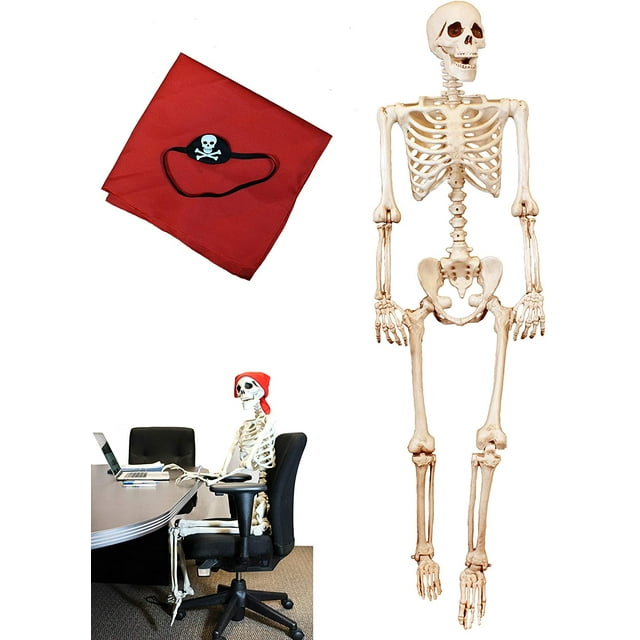 KEERDAO 5 ft Pose-N-Stay Life Size Skeleton Full Body Realistic Human ...