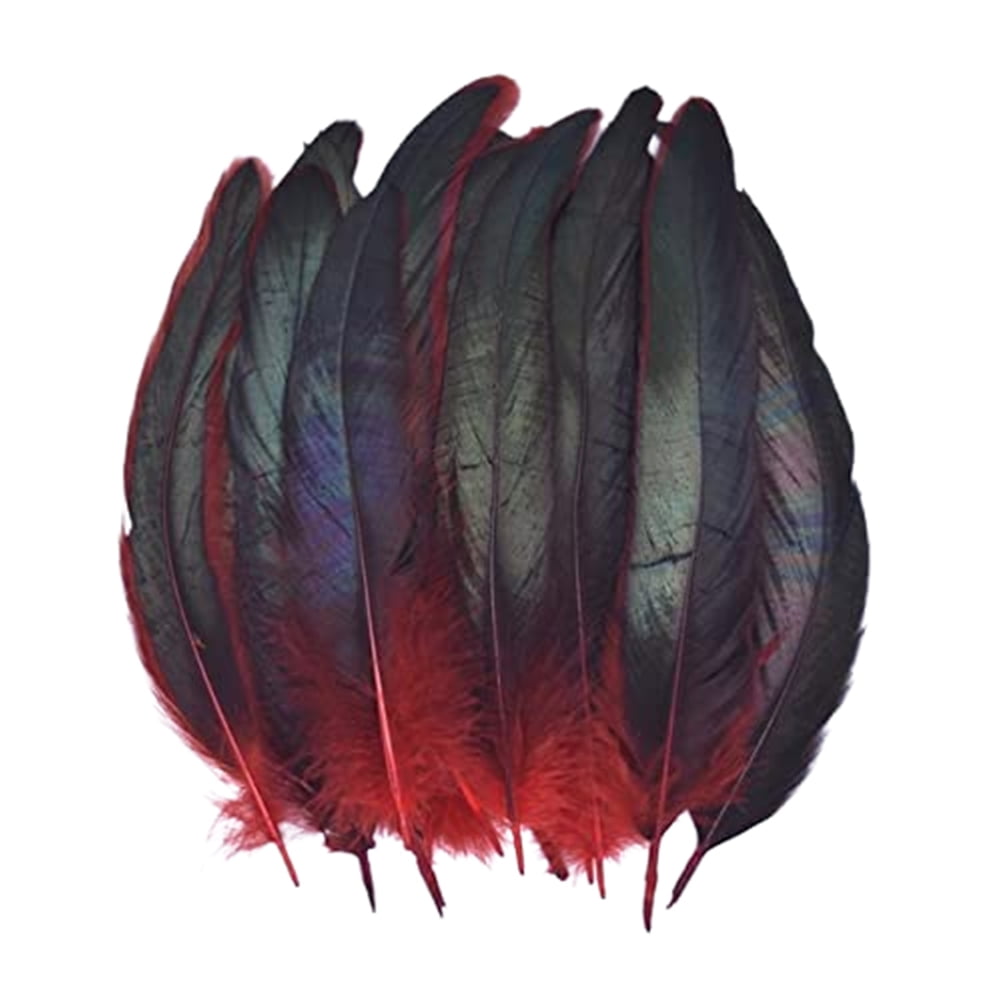 KEINXS 100Pcs/Lot Colorful Rooster Feathers for Crafts Chicken ...