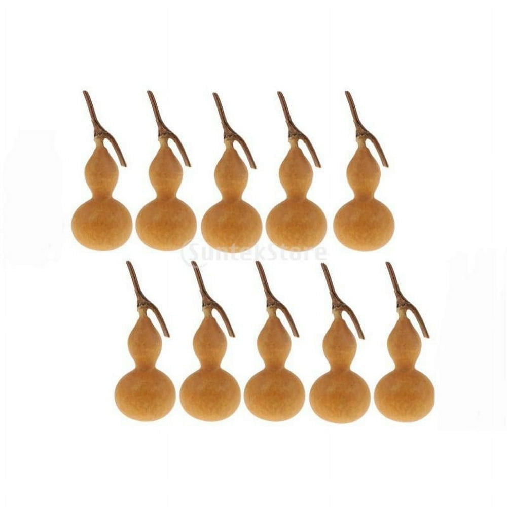 KEINXS 10Pcs Natural Dry Gourd Bottle Gourd 5-6cm Gourds Mini Fruits ...