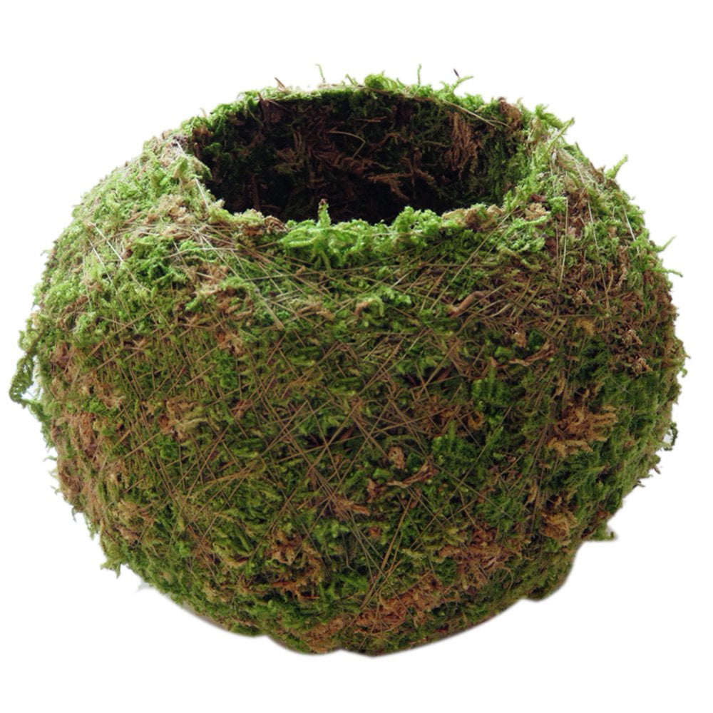KEINXS 5.90Inch Natural Moss Flower Pot Ball Creative DIY Garden Green ...