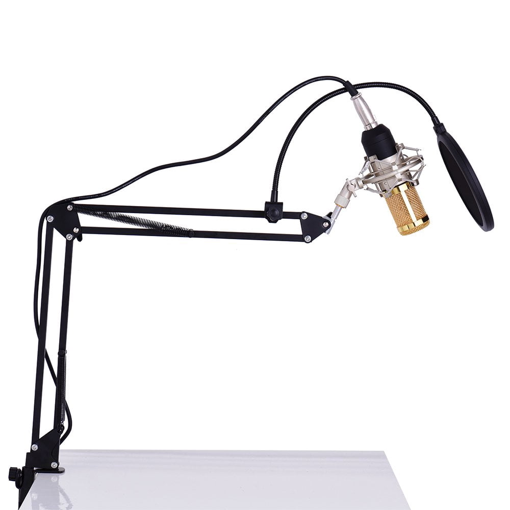 KEINXS Professional Studio Broadcasting Recording Condenser Microphone ...