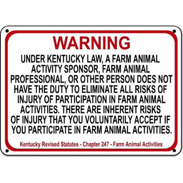 Big Dot of Happiness Kentucky Horse Derby - Hanging Porch Horse Race ...