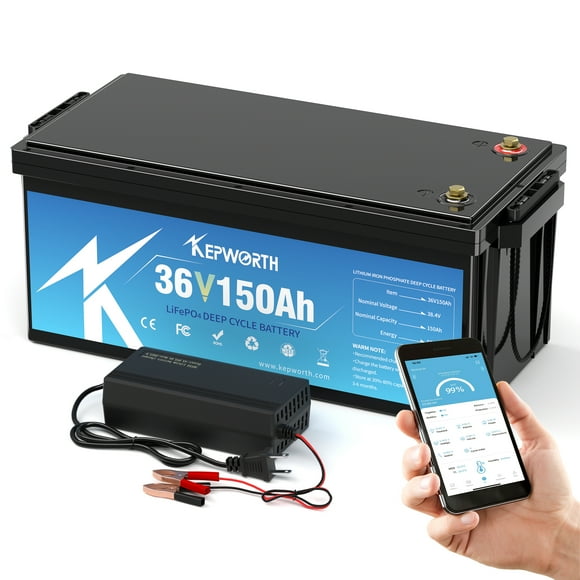 6 Volt Deep Cycle Batteries in 6 Volt Batteries - Walmart.com