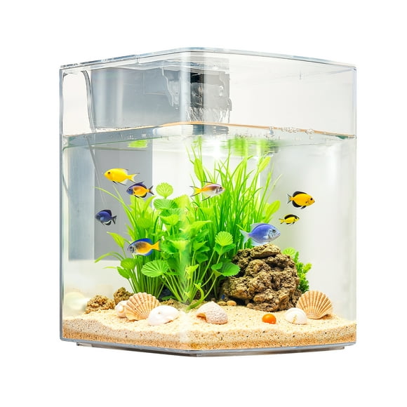Office Desk Fish Tank