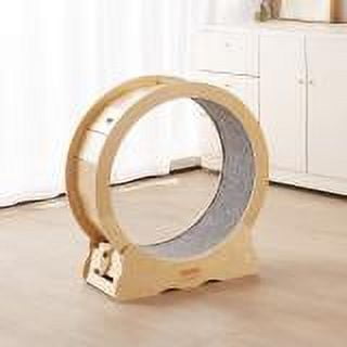 SKYSHALO Large Cat Exercise Equipment, Indoor Treadmill Wheel, 29.5 ...