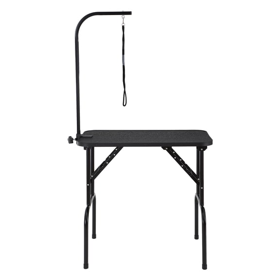 Canine Rehab Equipment
