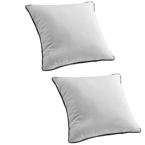 Pillow Inserts 20 X