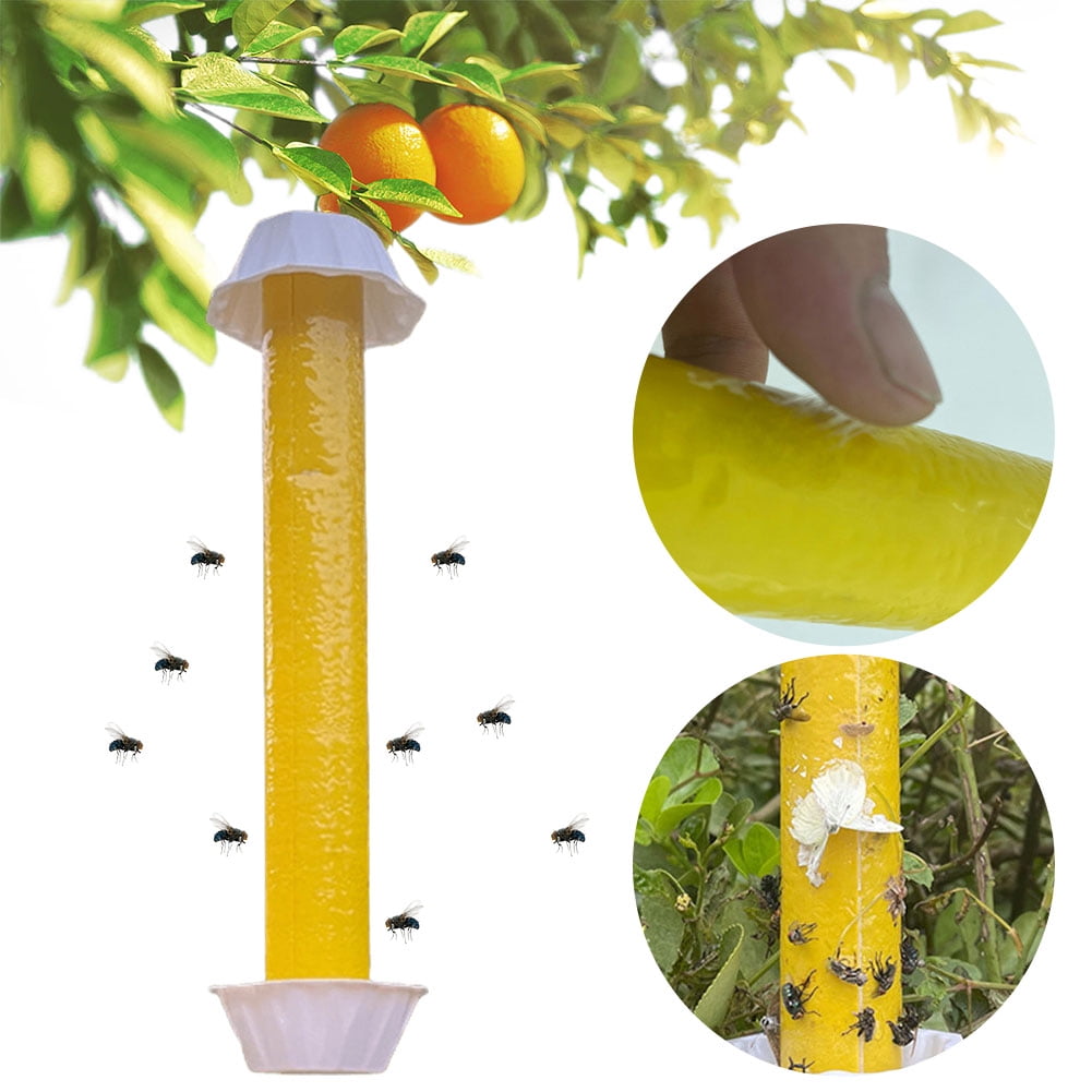 KGOTA Fly Stick for Mosquitoes Non-Toxic Bait Sticky Trap for Flies ...