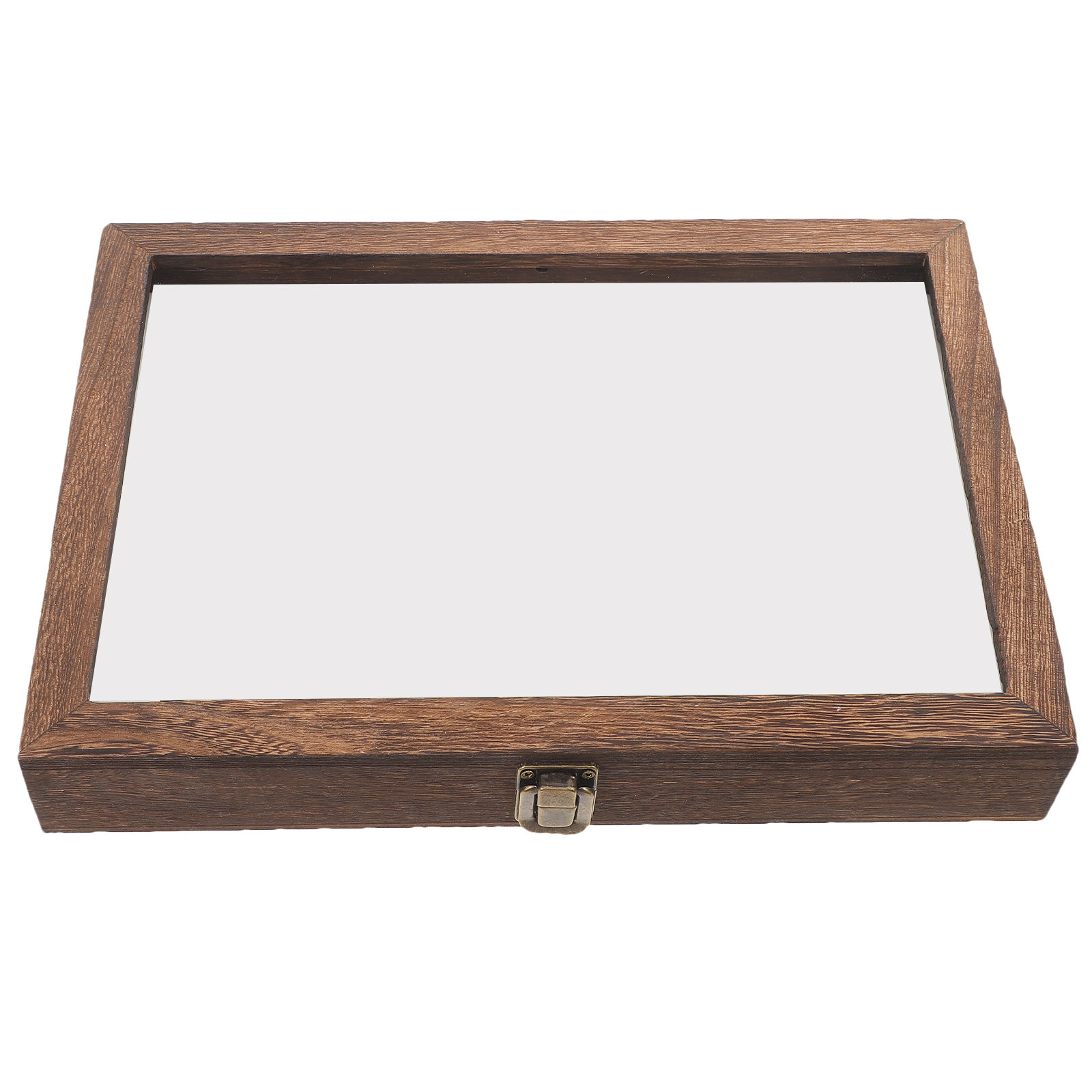 KHBUAB 1 Set Insect Specimen Display Box for Animal Specimen Display in ...