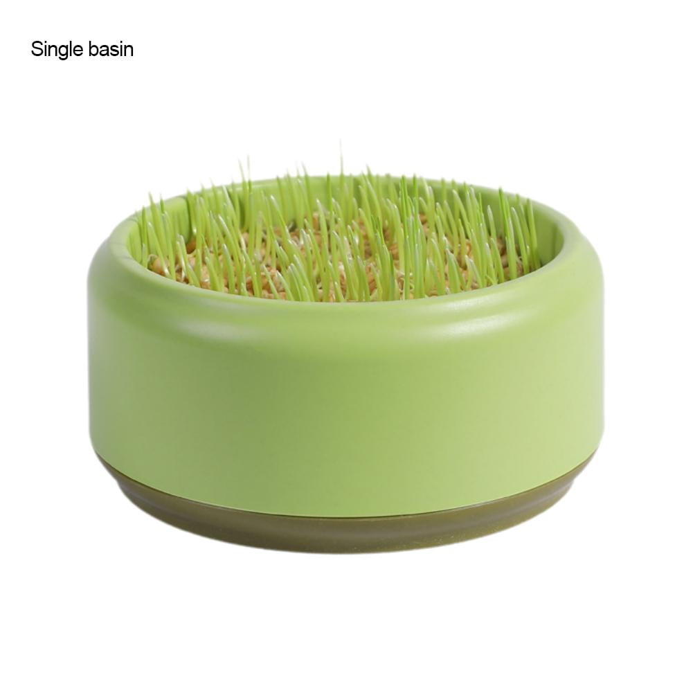 KI Cat Grass Planting Box Plant Growing Kit Hydroponic Soil Planter ...