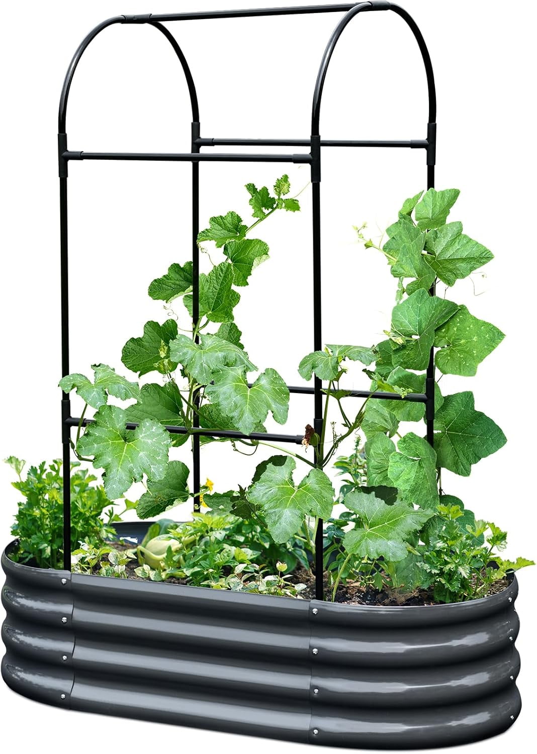 KING BIRD Raised Garden Bed with Arched Trellis Galvanized Planter ...