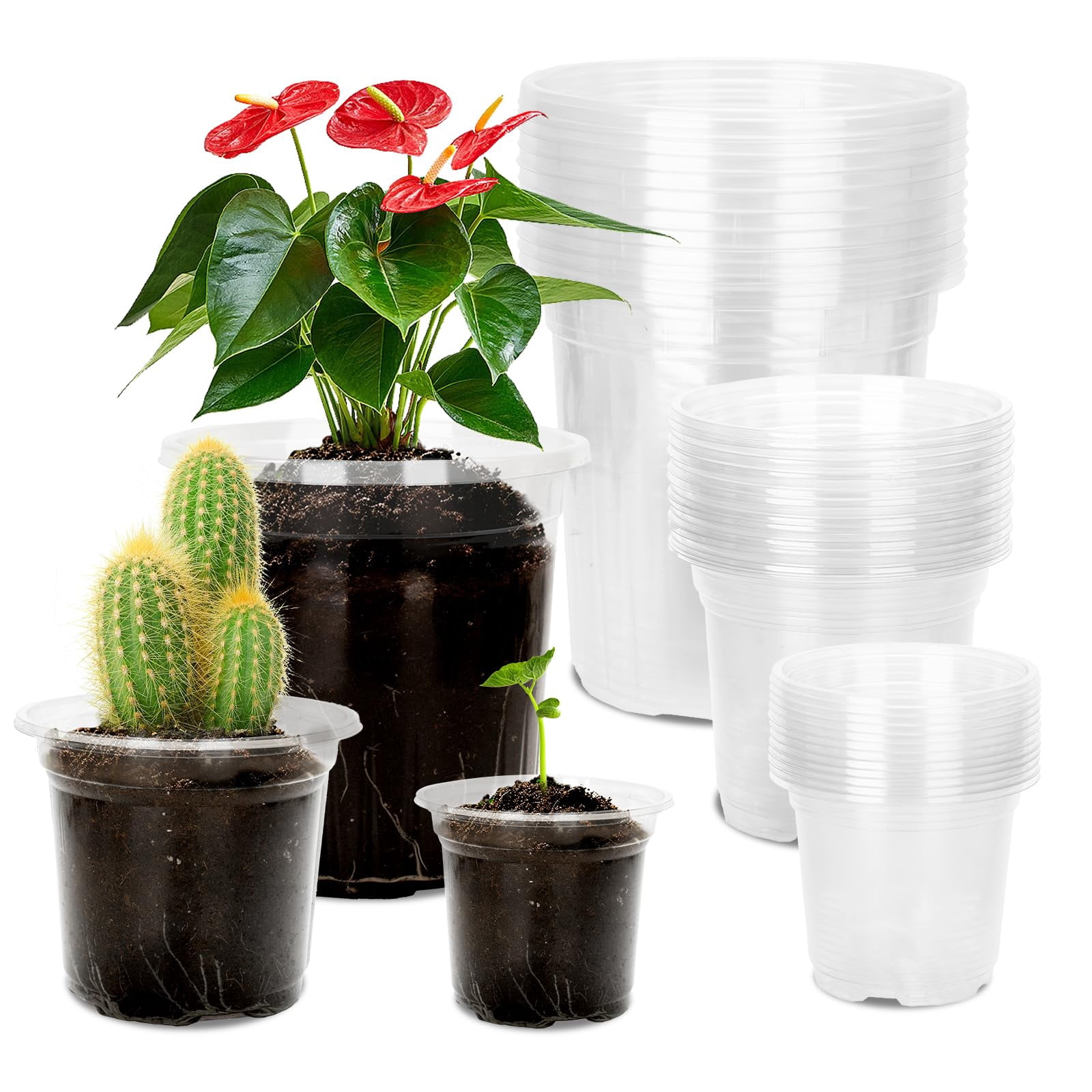 KINGLAKE 6.5/5/4 Inch Clear Plant Nursery AIS1 Pots with Pcs Plastic ...