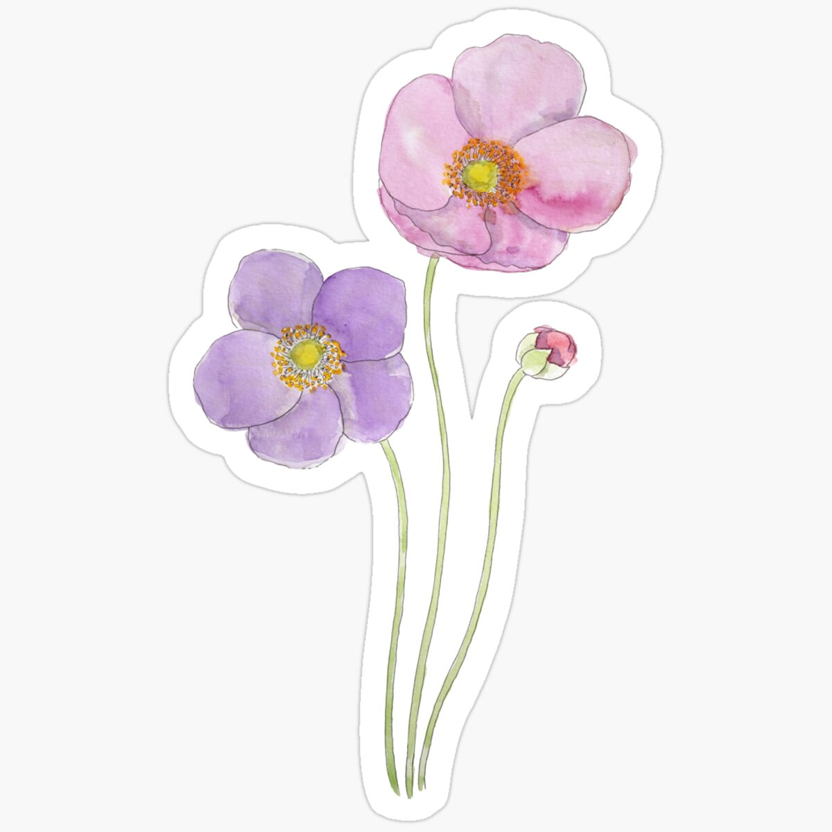 KIRA 2 Pink And Purple Anemone Flowers Ink And Watercolour Sticker ...