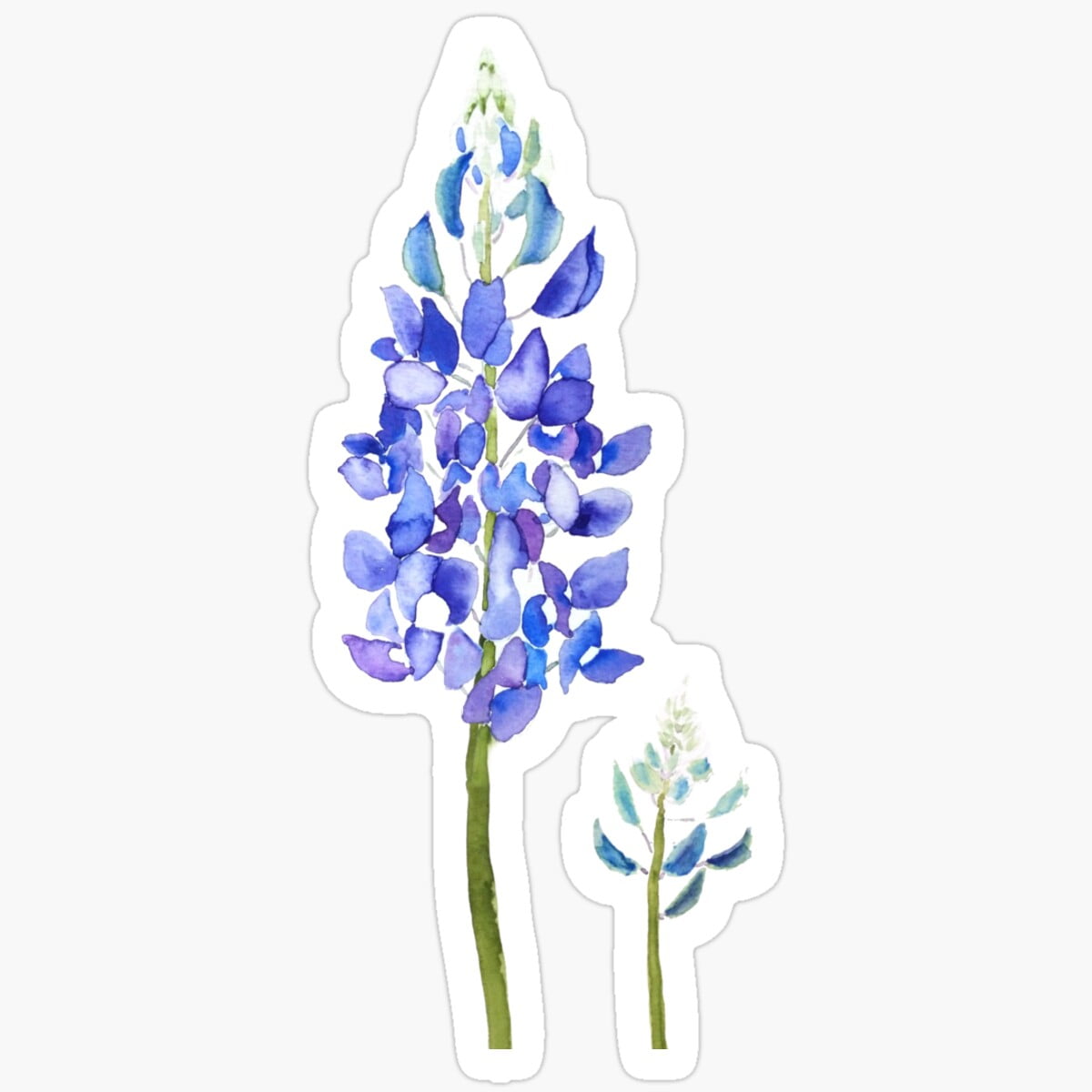 KIRA 2 Purple And Blue Botanical Bluebonnet Watercolor Sticker Birthday ...