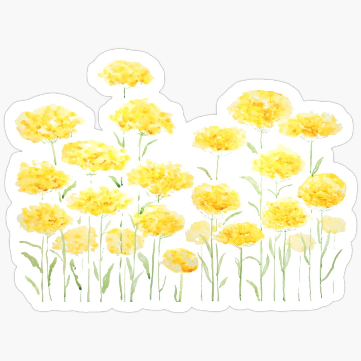 KIRA Abstract Yellow Common Yarrow Flowers Watercolor Horizontal ...