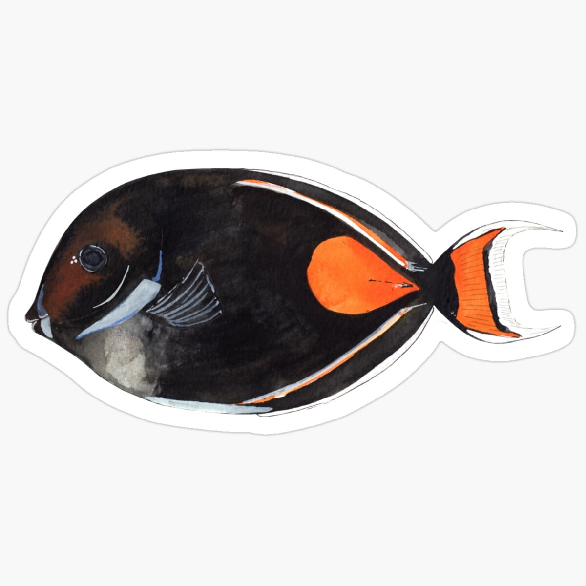 KIRA Achilles Tang Or Surgeonfish-Acanthurus Achilles Sticker Birthday ...