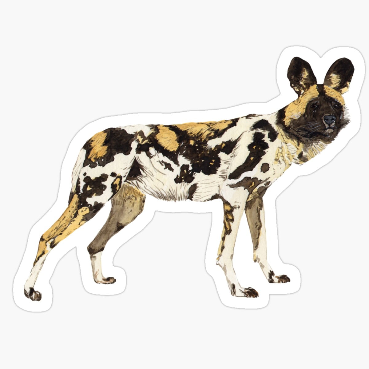 KIRA African Wild Dog Sticker Birthday Gifts - Decorative Laptop, Phone ...