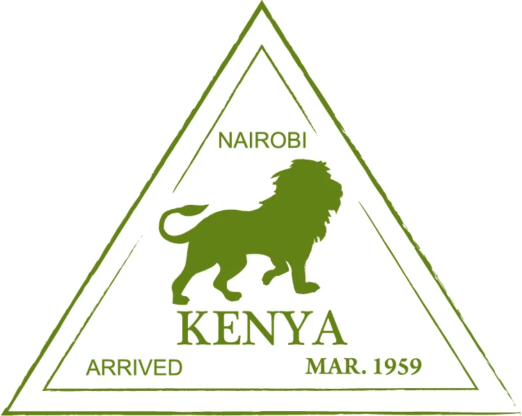 KIRA Arrived Kenya Rectangle Car Bumper Sticker Decal Gift for you ...
