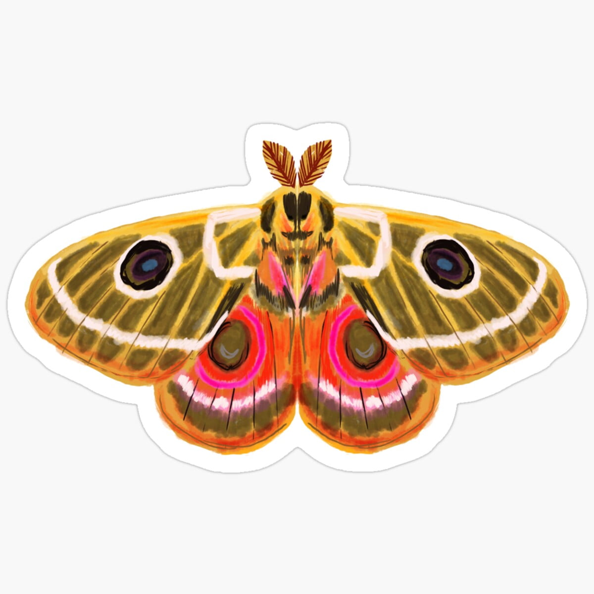KIRA Atlas Moth Sticker Birthday Gifts - Decorative Laptop, Phone ...