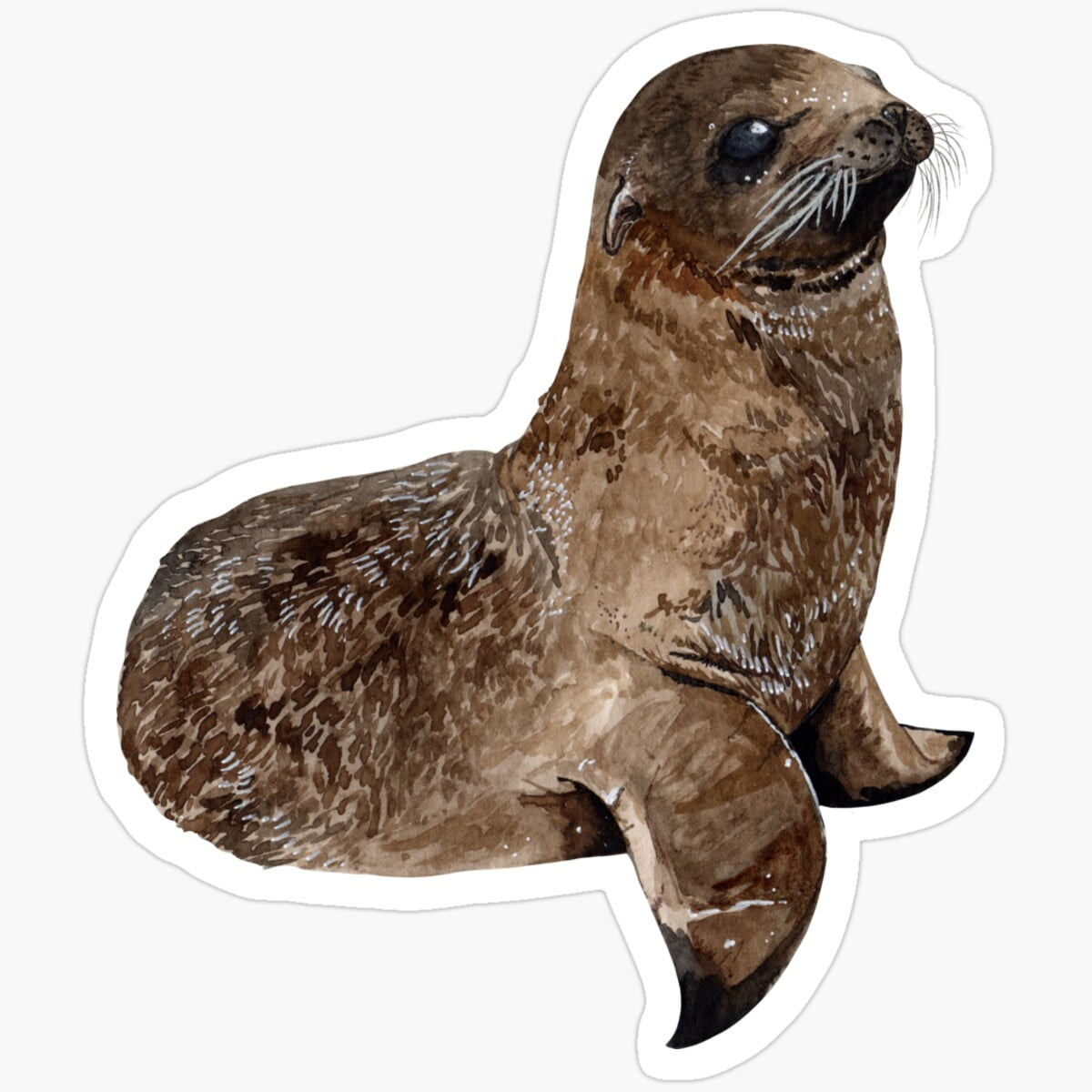 KIRA Baby Sea Lion Sticker Birthday Gifts - Decorative Laptop, Phone ...