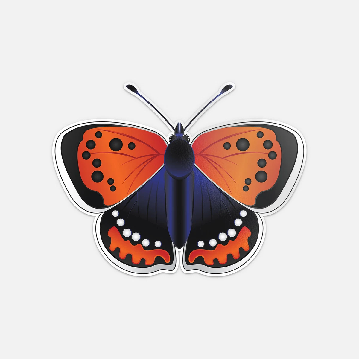 KIRA Beautiful Coral Butterfly Vinyl Sticker Decal Gift for you ...