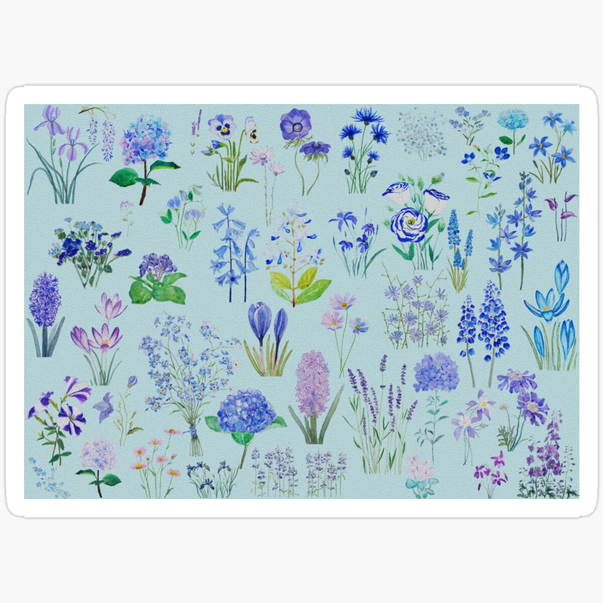 KIRA Blue And Purple Flower Collection In Turquoise Sticker Birthday ...