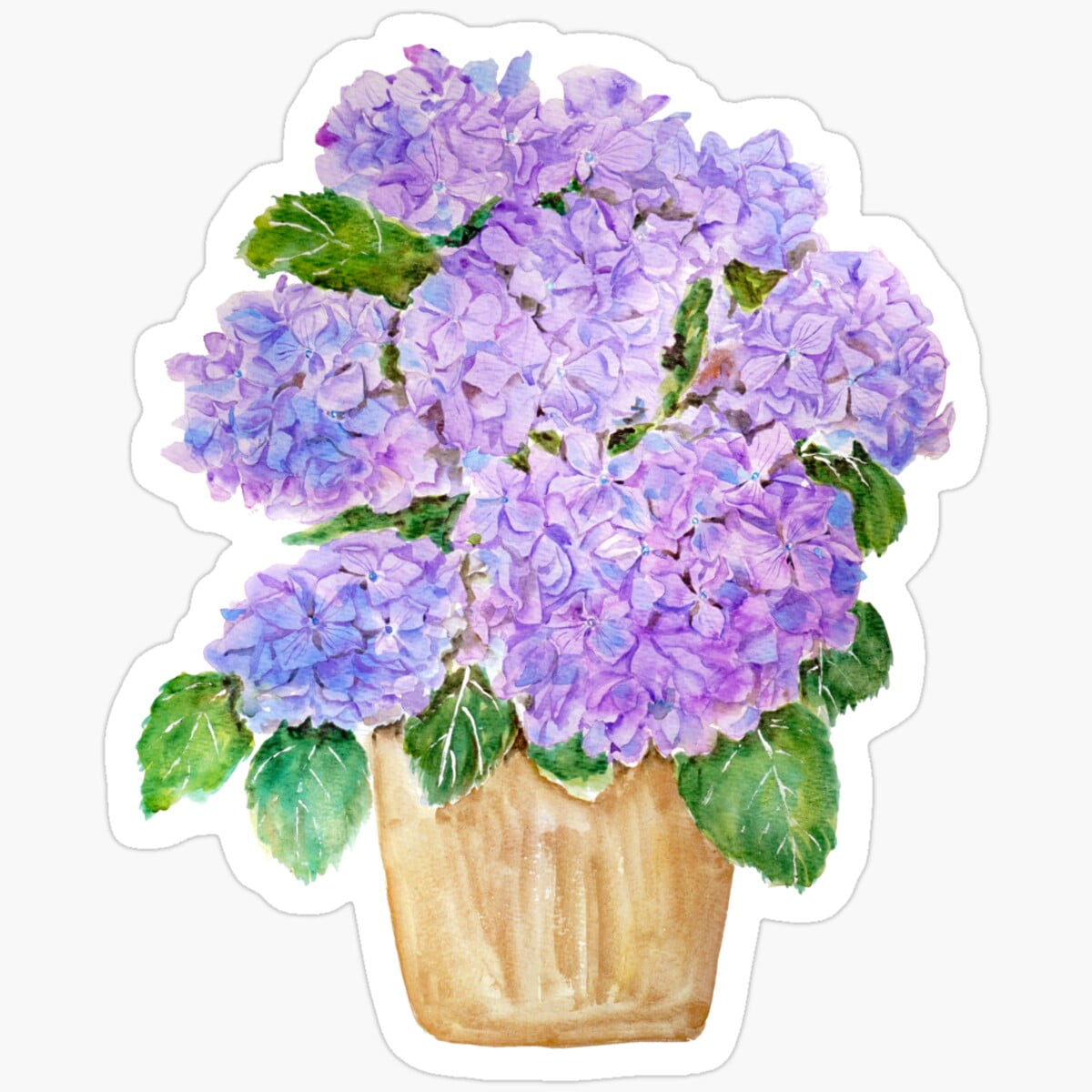 KIRA Blue Purple Hydrangea In Golden Pot Watercolor Sticker Birthday ...