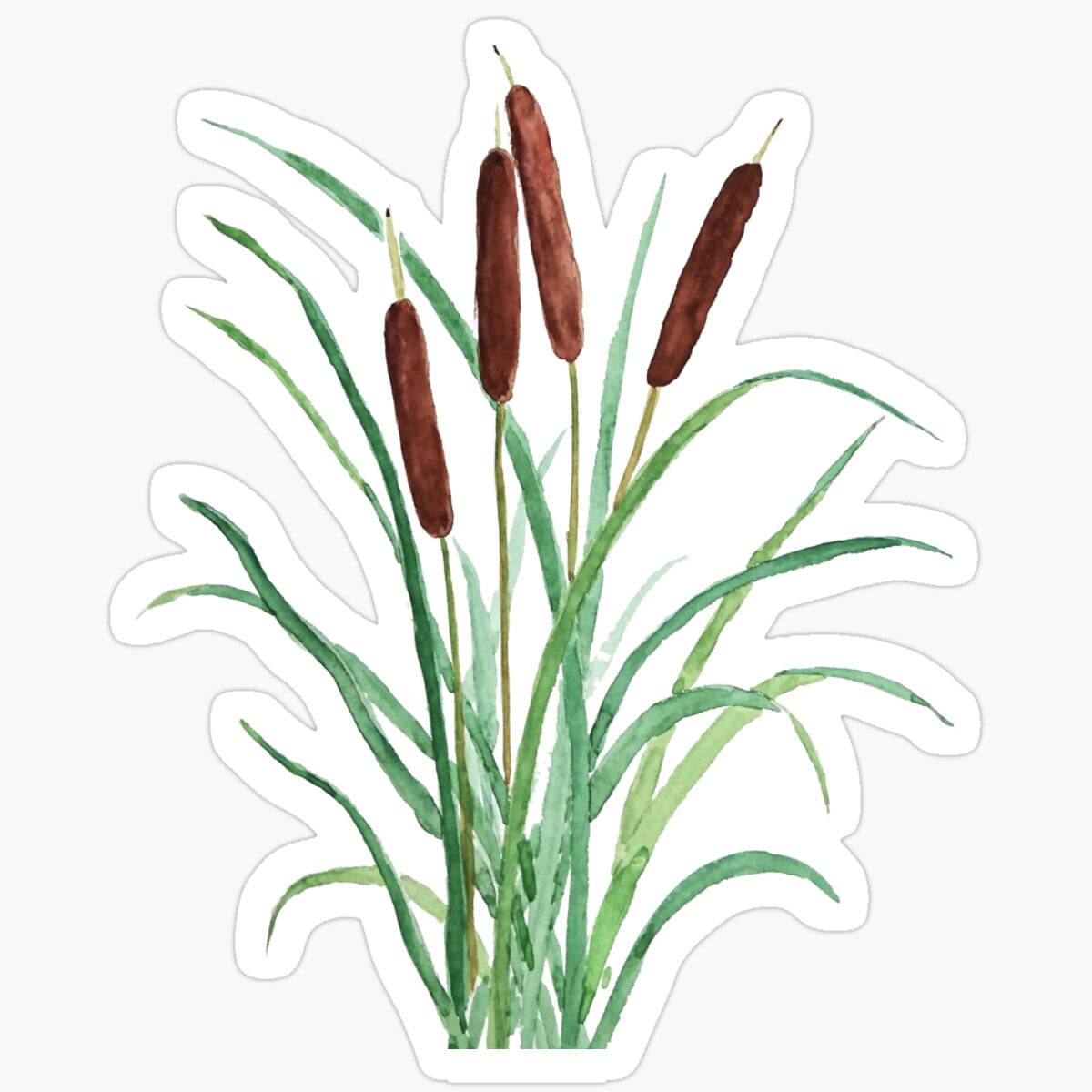 KIRA Cattails Plants Watercolor Painting Green And Brown Glossy Sticker ...