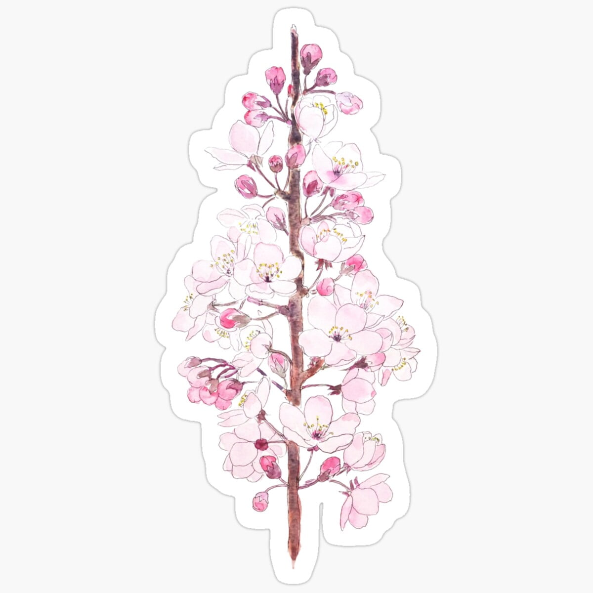 KIRA Cherry Blossom Ink And Watercolor 3 Sticker Birthday Gifts ...