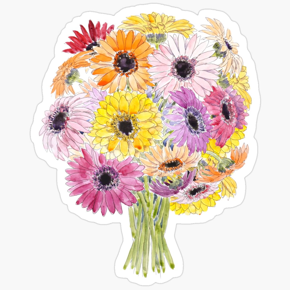 KIRA Colorful Barberton Daisy Gerbera Watercolor Gerbera Daisy Sticker ...