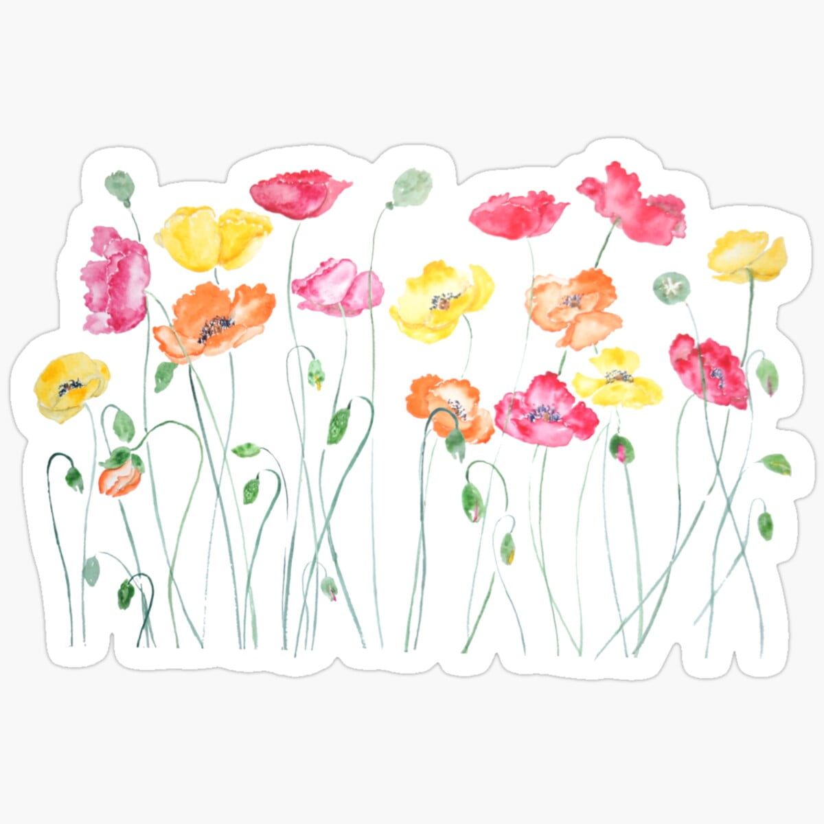 KIRA Colorful Poppies Flowers Watercolor Horizontal Sticker Birthday ...