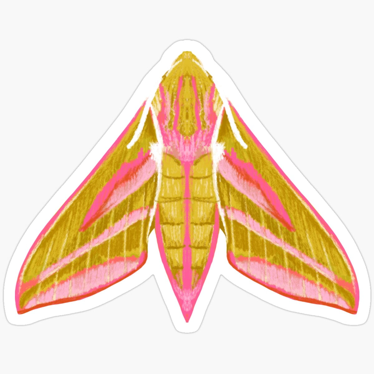 KIRA Elephant Hawk Mothlepidoptera Moth Art, Nature Art Sticker ...