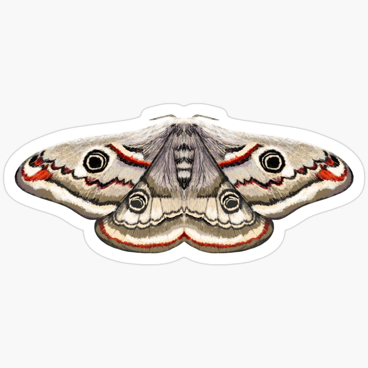 KIRA Emperor Mothlepidoptera Moth Art, Nature Art Sticker Birthday ...