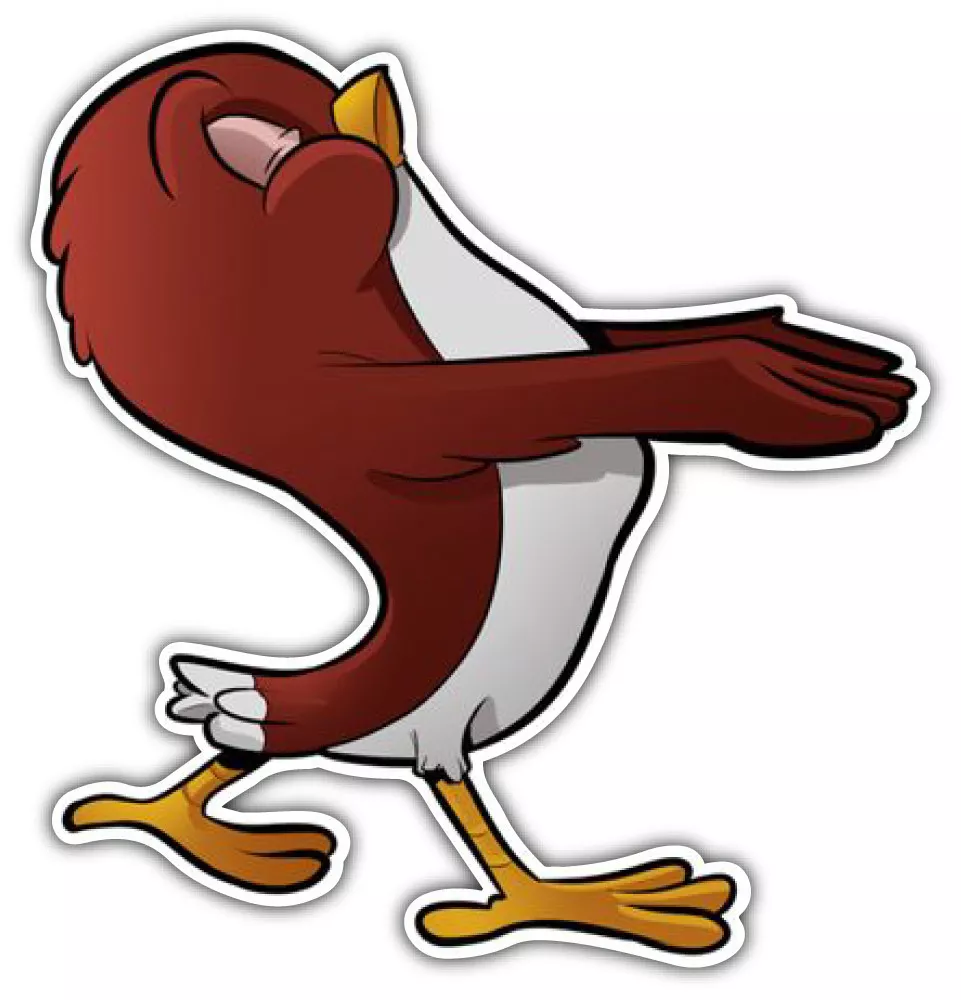 KIRA Funny Bird From Wildlife Cartoon Car Bumper Sticker Decal Gift for ...