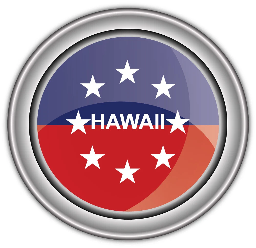 KIRA Governor Of Hawaii USA State Flag Silver Badge Car Bumper Sticker ...