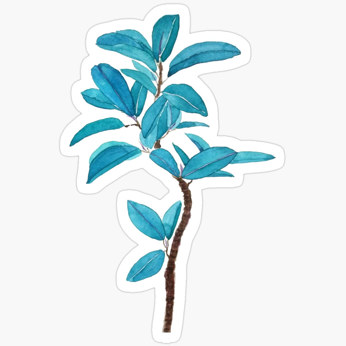 KIRA Green Rubber Tree Ficus Elastica Watercolor Sticker Birthday Gifts ...