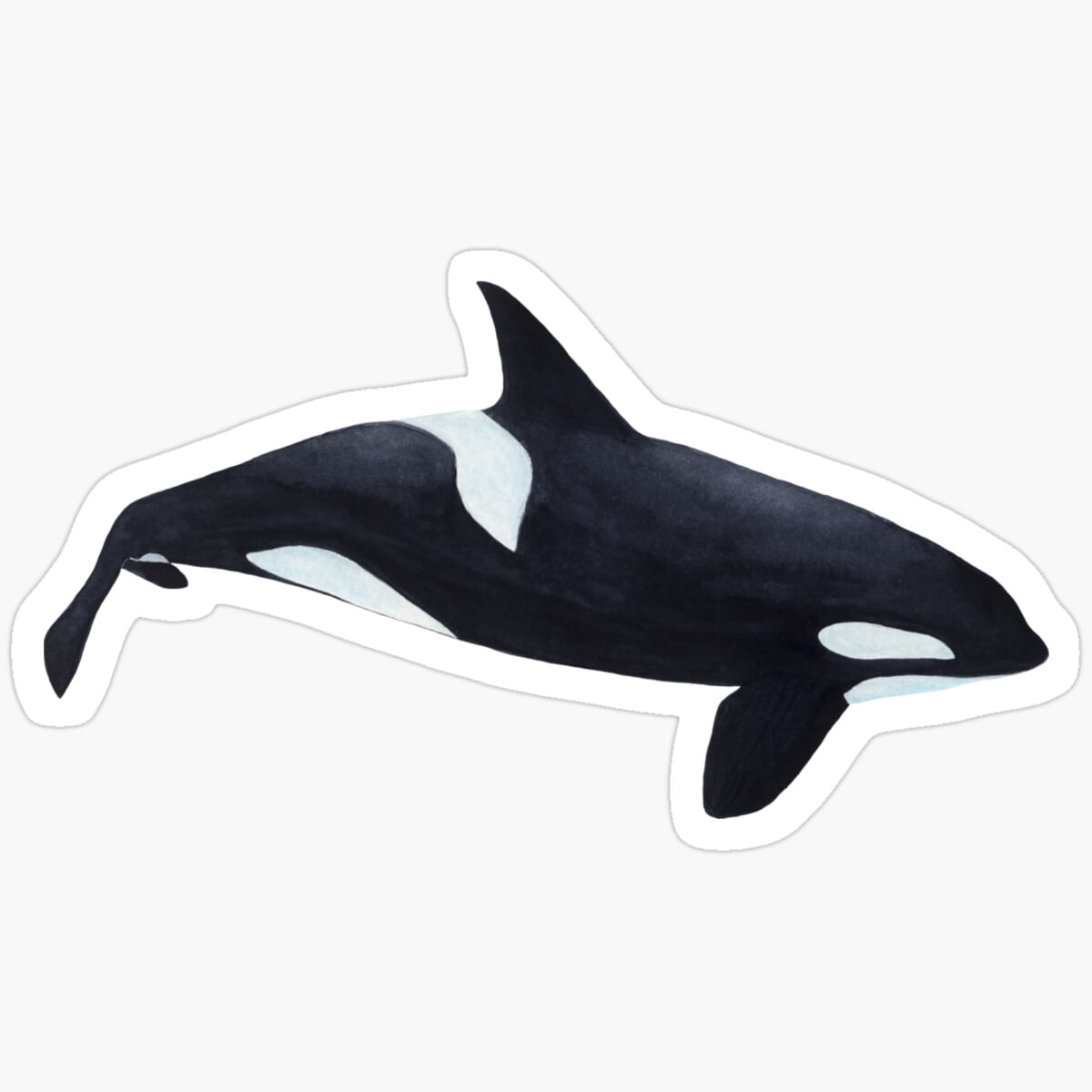 KIRA Killer Whale / Orca Sticker Birthday Gifts - Decorative Laptop ...