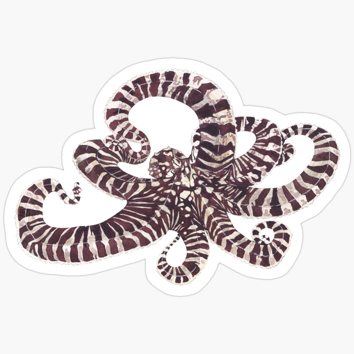 KIRA Mimic Octopus-Thaumoctopus Mimicus Glossy Sticker Birthday Gifts ...