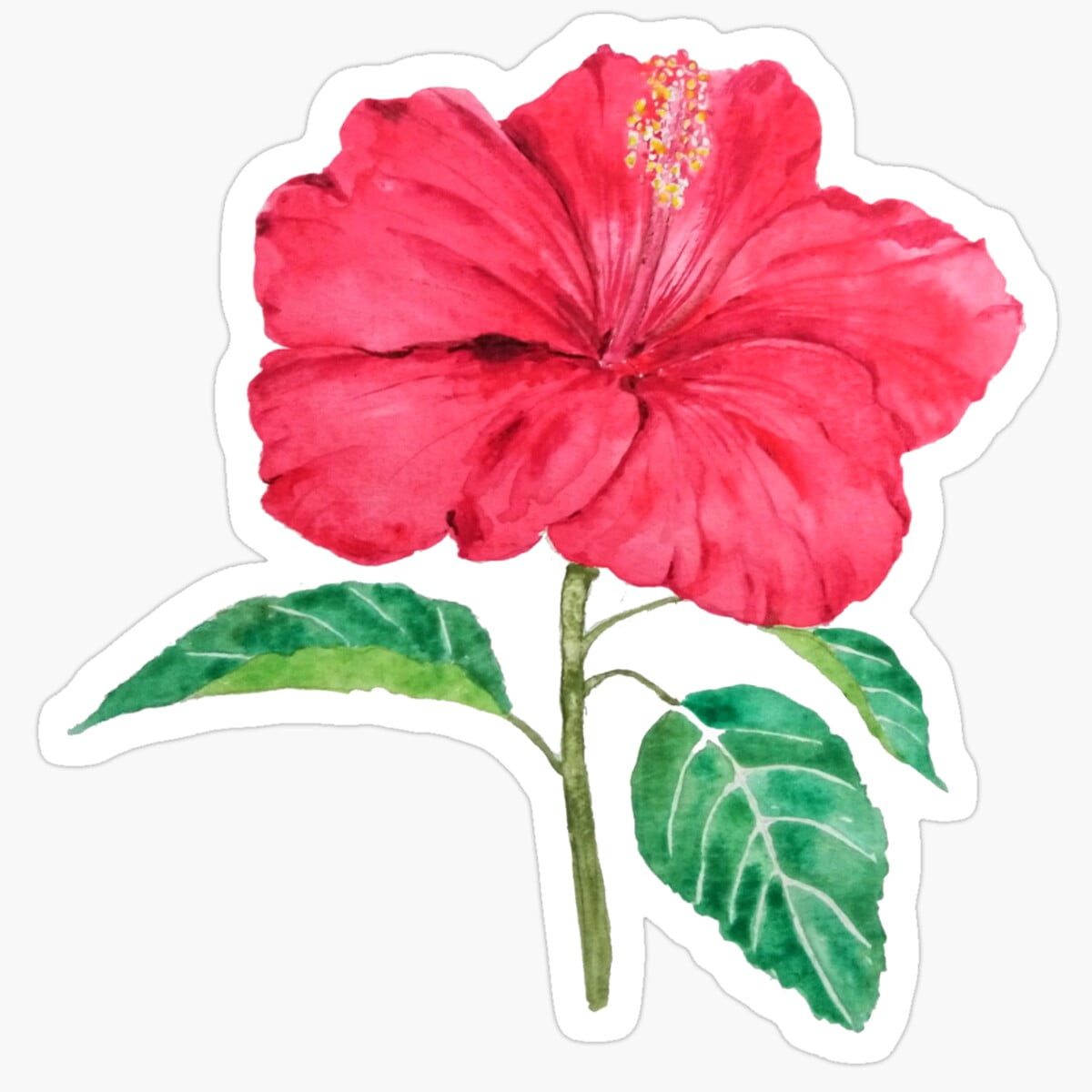 KIRA One Red Hibiscus Watercolor Painting Sticker Birthday Gifts ...