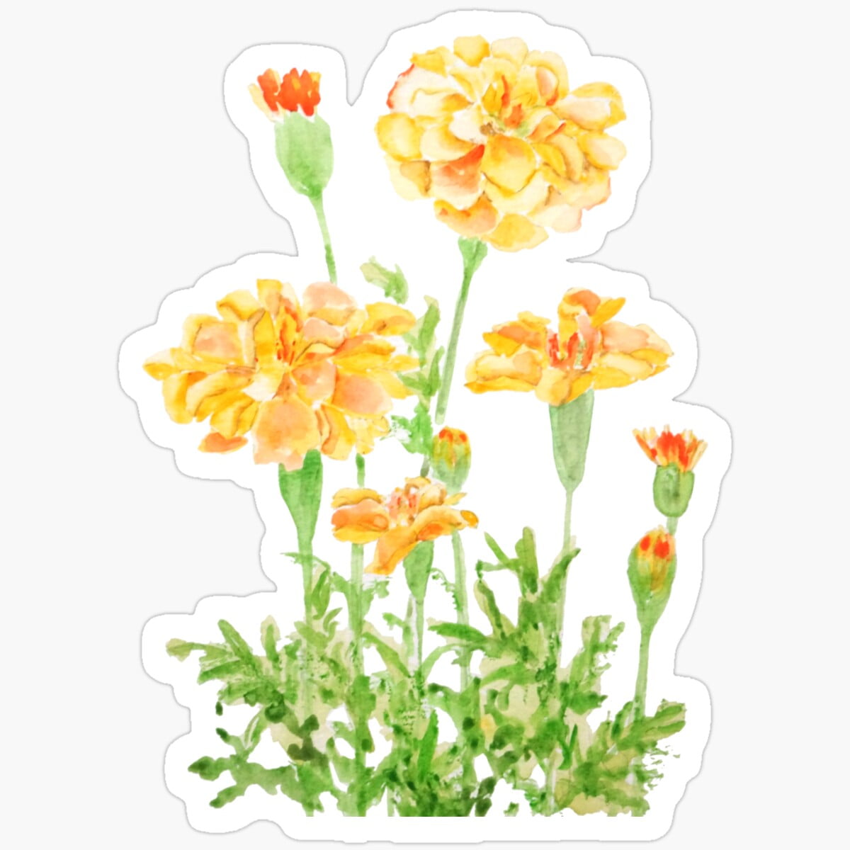 KIRA Orange Mexican Marigold Flowers Sticker Birthday Gifts ...