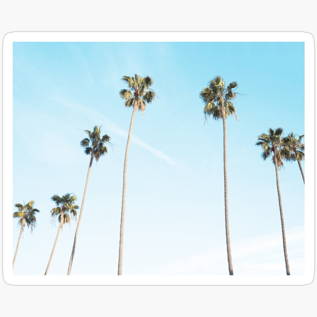 KIRA Palms Print, Palm Art, Minimalist Sticker Birthday Gifts ...